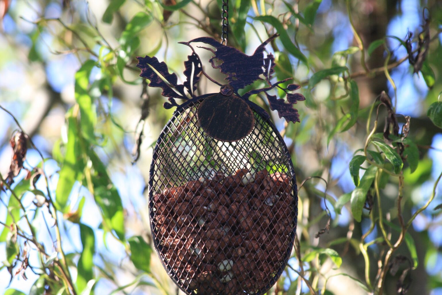 Oval Wren Bird Feeder Hanger - Ornamental Classics