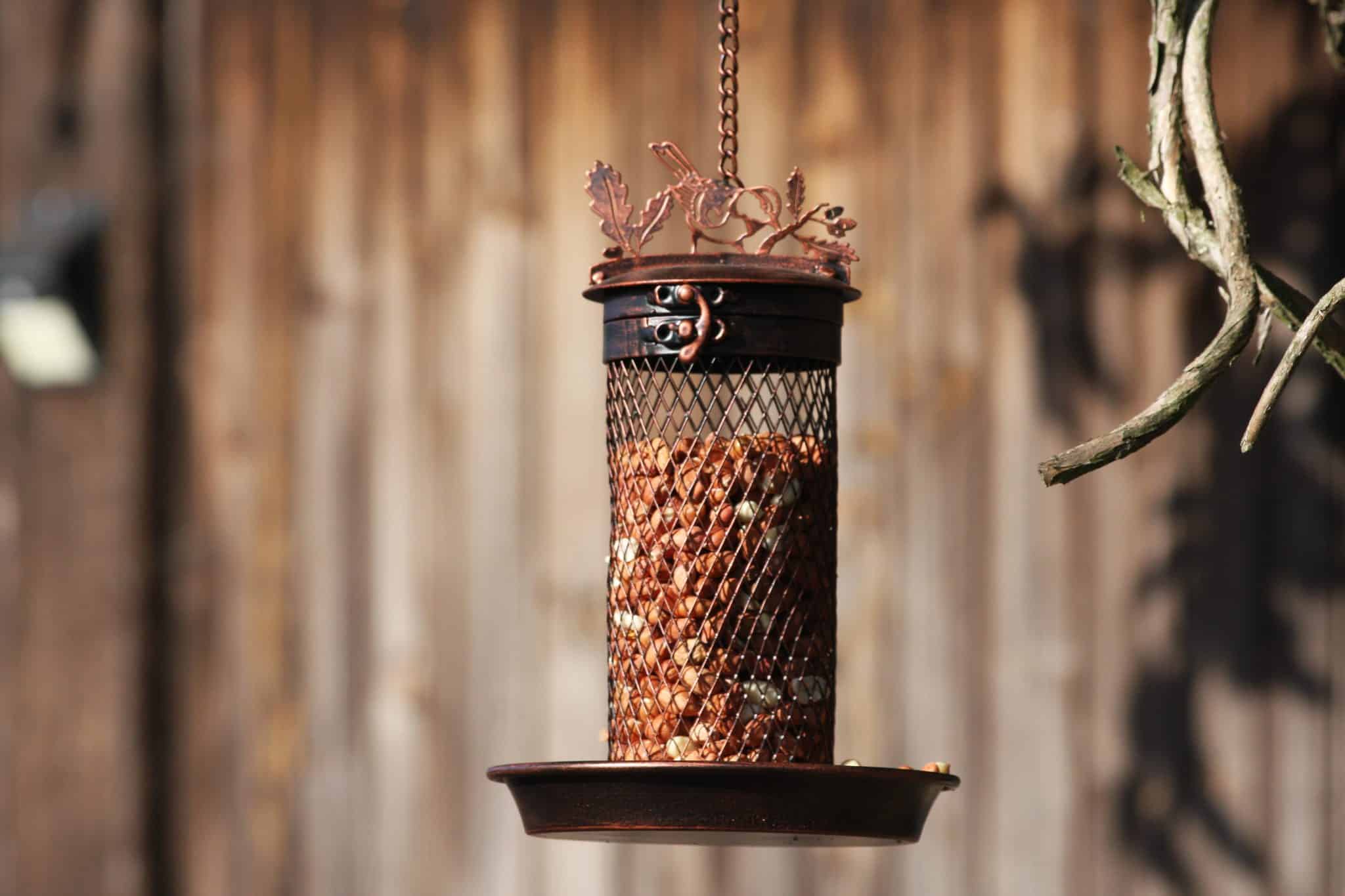 Elegant Garden Ornaments: Explore Our Ornamental Classics