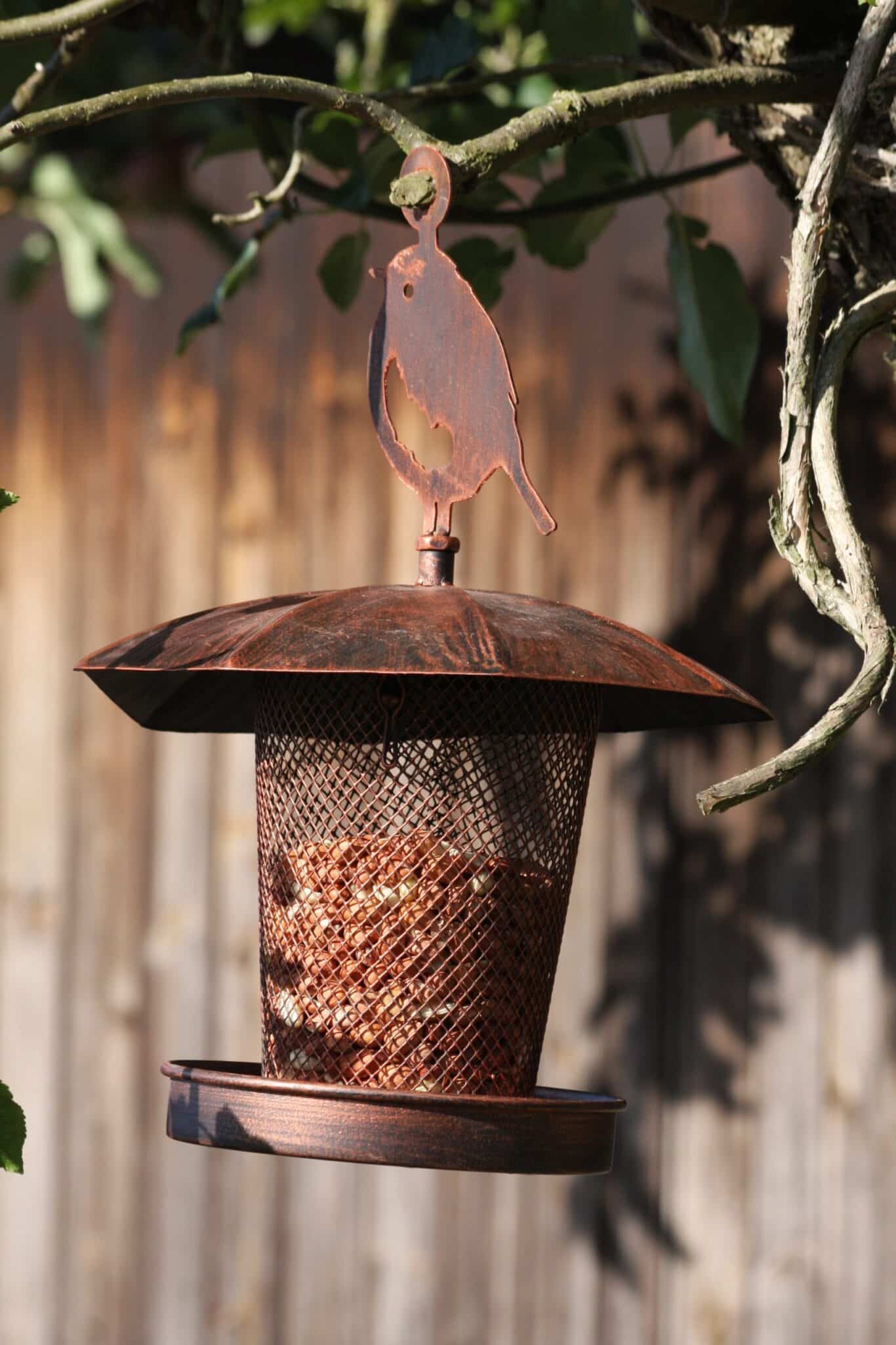 Robin Bird Feeder with tray and hood - Ornamental Classics