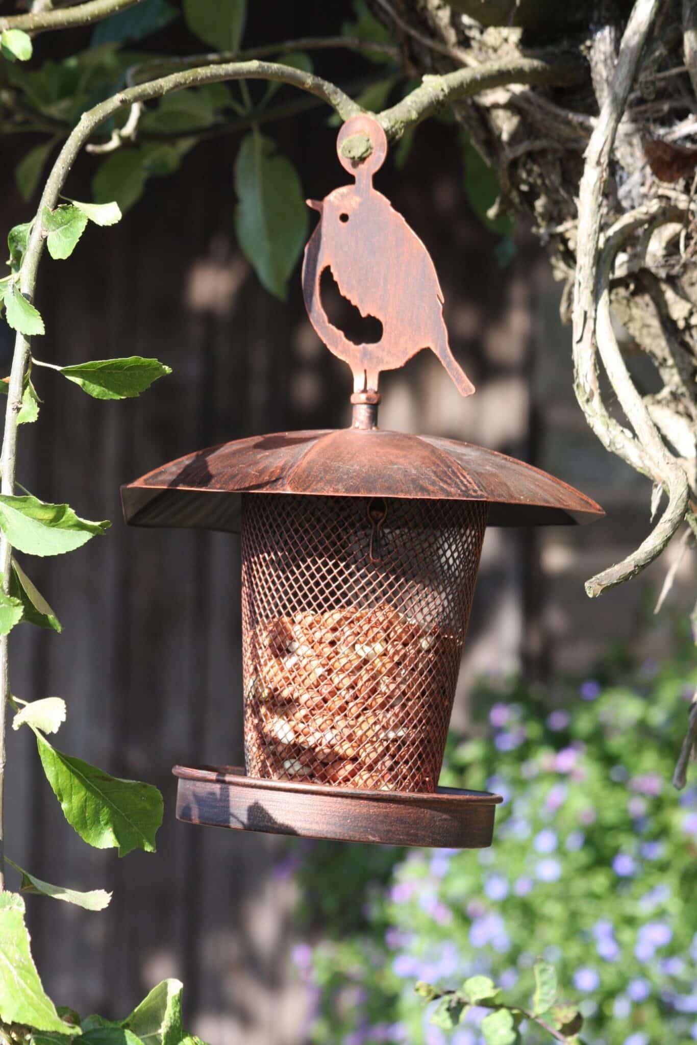 Robin Bird Feeder with tray and hood - Ornamental Classics