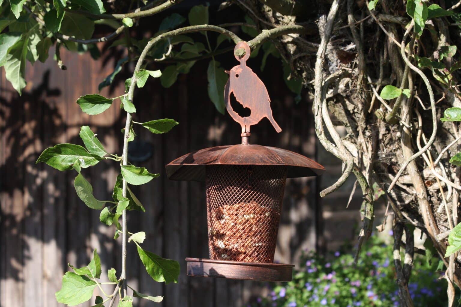 Robin Bird Feeder with tray and hood - Ornamental Classics
