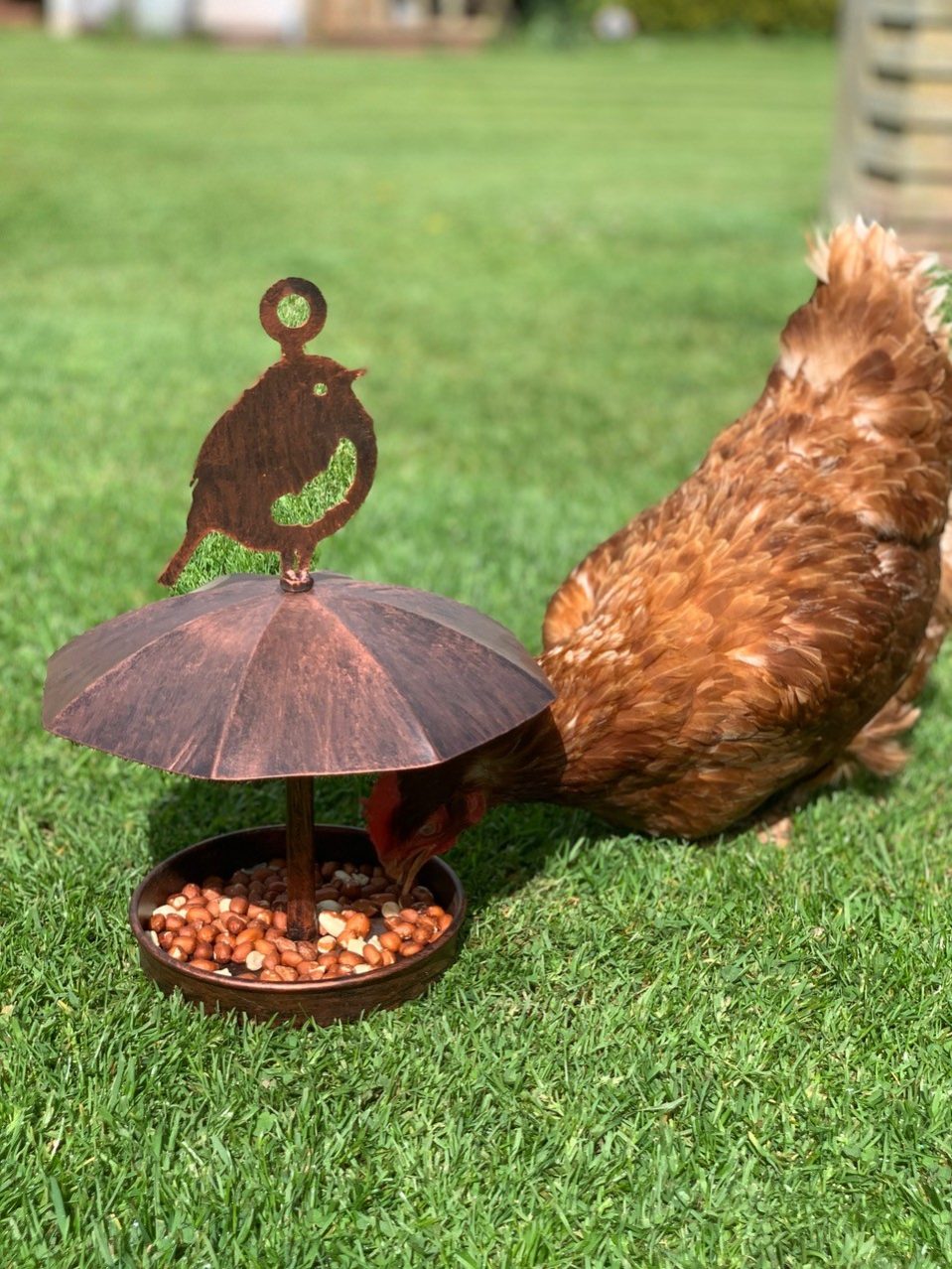 Robin Bird feeder with hood - Ornamental Classics